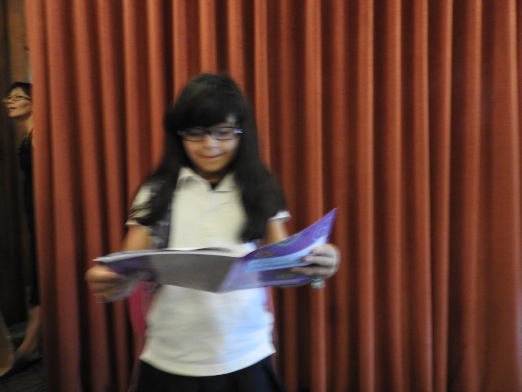 A Pig Parade is a Terrible Idea: Creative Writing for Beginning Readers ...