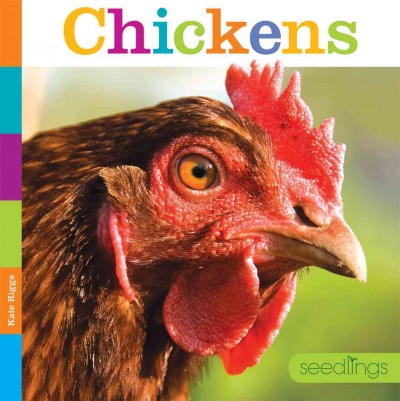 Weird Chickens! ~ Preschool Storytime – Kids Blog