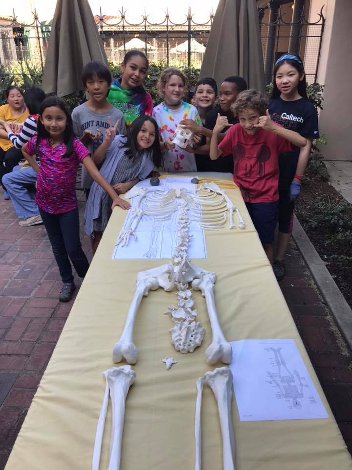 Dig for Ancient Treasures ~ Archaeology – Kids Blog