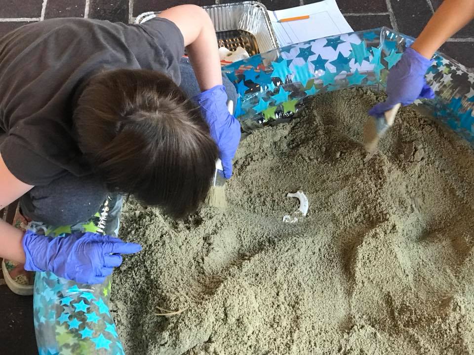 Dig for Ancient Treasures ~ Archaeology – Kids Blog