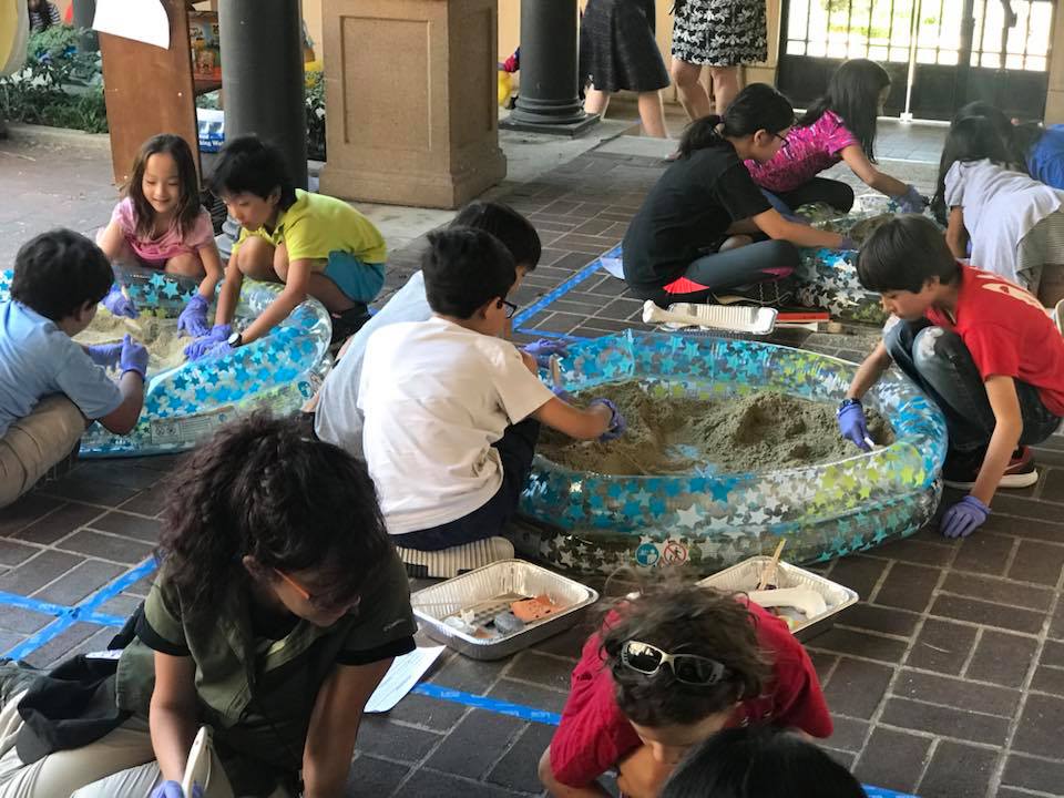 Dig for Ancient Treasures ~ Archaeology – Kids Blog