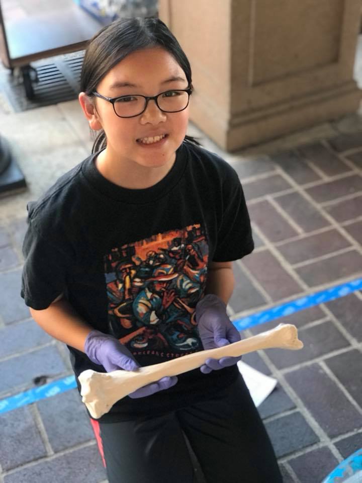 Dig for Ancient Treasures ~ Archaeology – Kids Blog