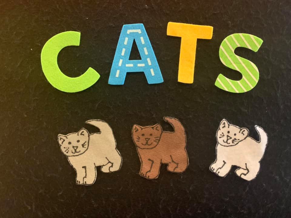 Cats! ~ Toddler Storytime – Kids Blog