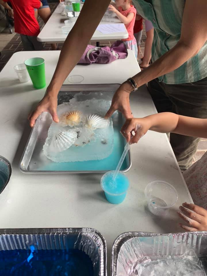 Arctic Excavation ~ Preschool STEAM – Kids Blog