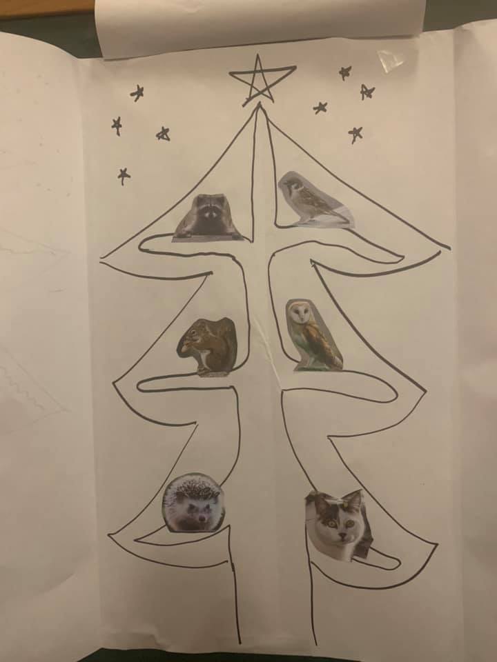 Magical Trees ~ Preschool Storytime – Kids Blog