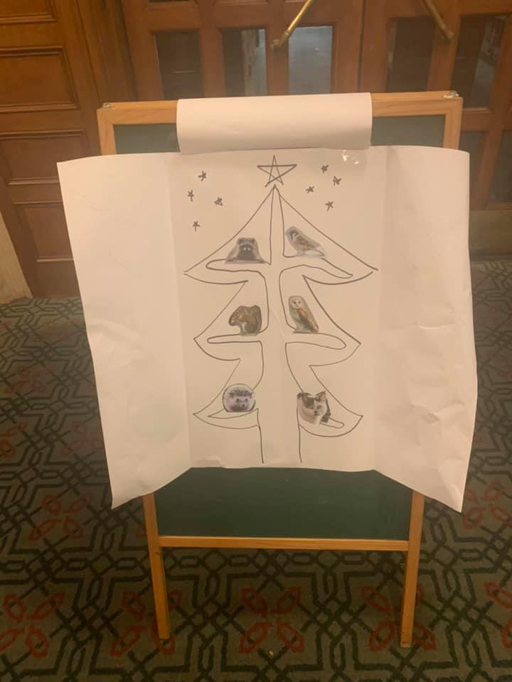 Magical Trees ~ Preschool Storytime – Kids Blog